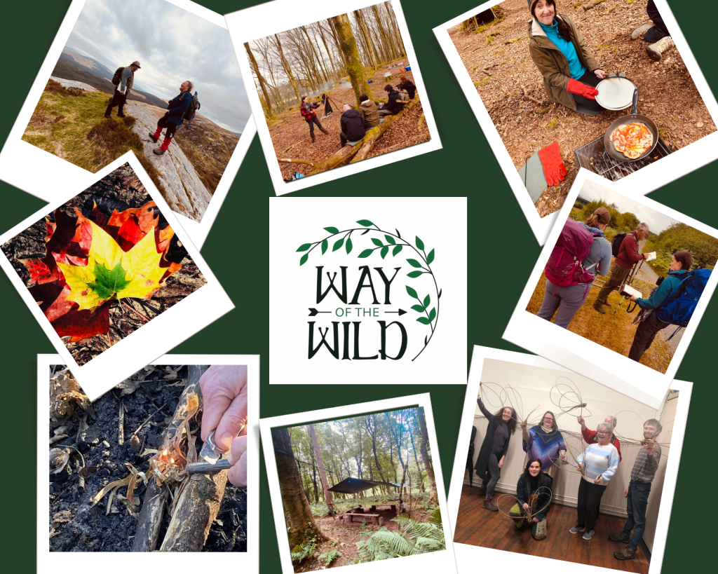 Way of the Wild | Spring Fling Open Studios