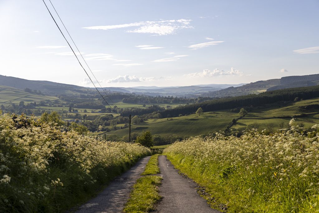 10 Reasons to Visit Spring Fling 2025 | Spring Fling Open Studios